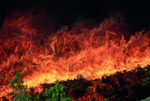 Climate Risks and Resilience