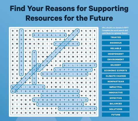 Word Search: Find Your Reasons for Supporting Resources for the Future