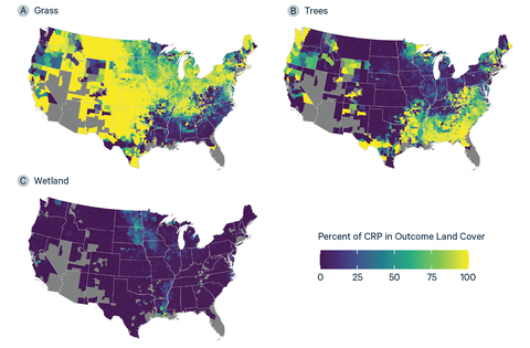 Conservation and Community: The Local Economic Impacts of the ...