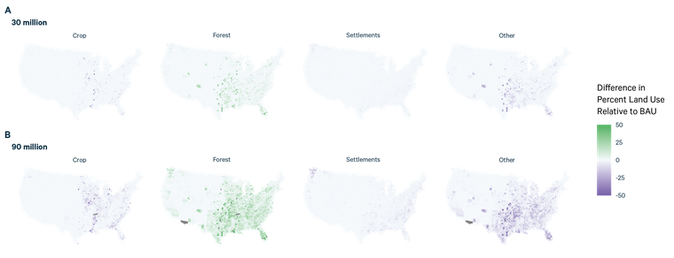 Prospects for Land Sector Carbon Dioxide Removal in the United States