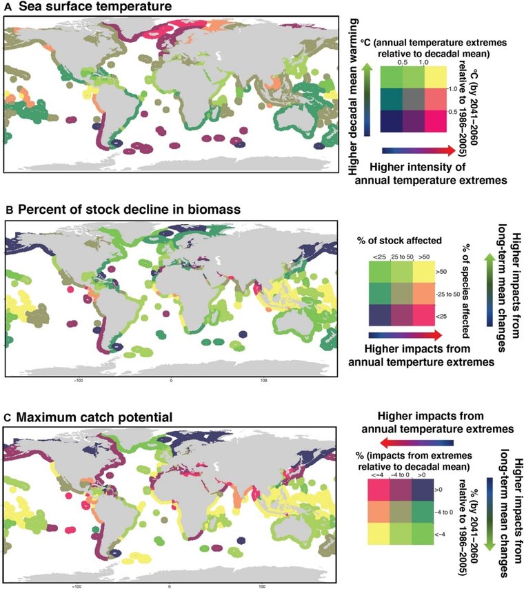 Challenges and Opportunities for Incorporating Climate Change’s Impacts ...