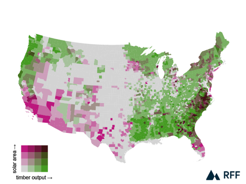 Converting Forests to Solar Facilities: Causes, Potential, and Implications