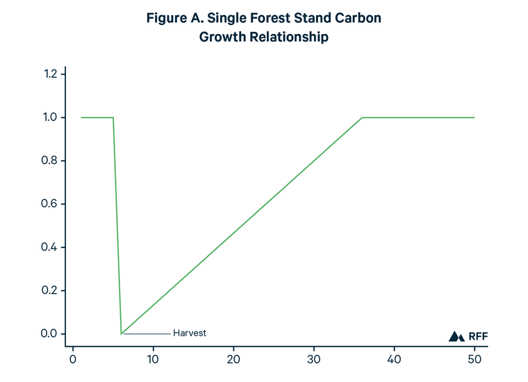 Forest Bioenergy 101: Generation and Emissions