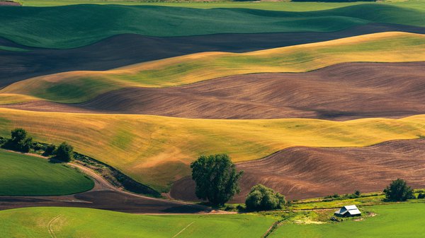 Nature-Based Forestry and Agriculture Solutions