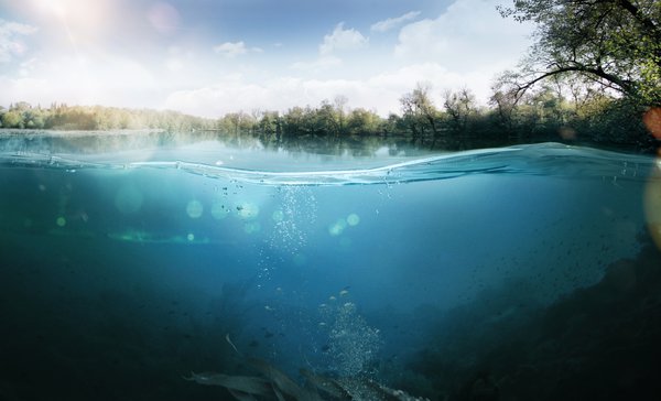 Water Quality