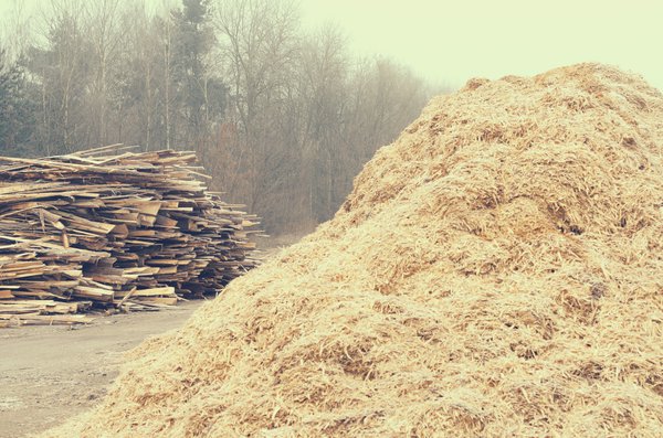 Comparative Life Cycle Assessments: Carbon Neutrality and Wood Biomass ...