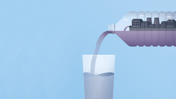 One Strategy for Pollution Control