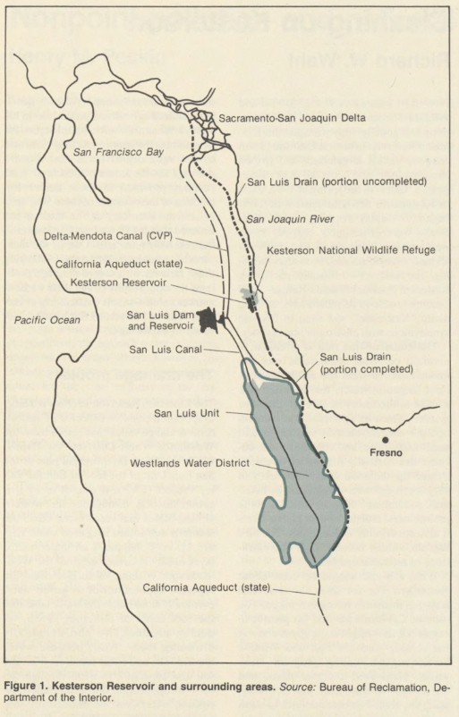 Cleaning Up Kesterson