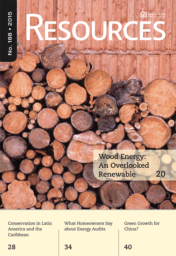 Issue 188: Wood Energy: An Overlooked Renewable