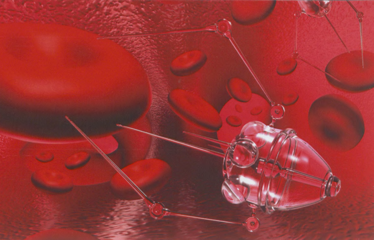 Nanotechnology and Risk