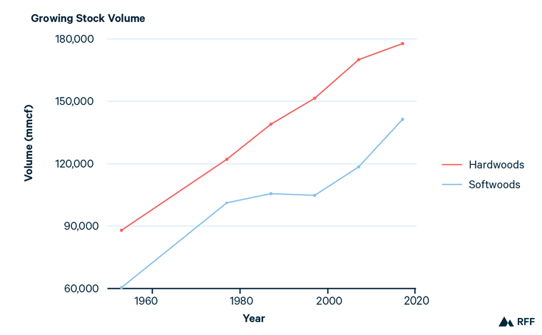 Forest Carbon 201: Land Use Effects of Wood Product Markets