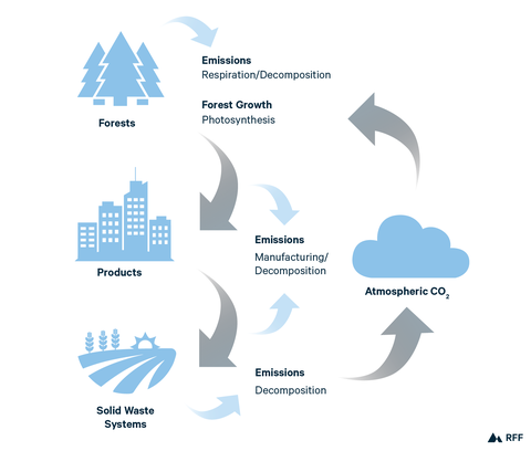 Forest Carbon 201: Land Use Effects of Wood Product Markets