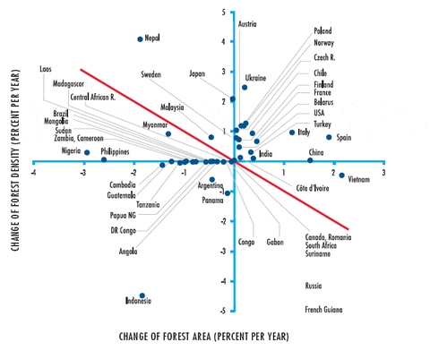 Are Forests Making a Comeback?