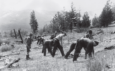 The History of the Civilian Conservation Corps
