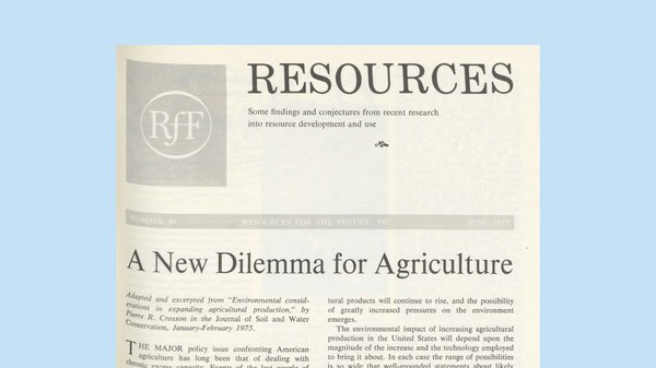 RFF: Past and Future