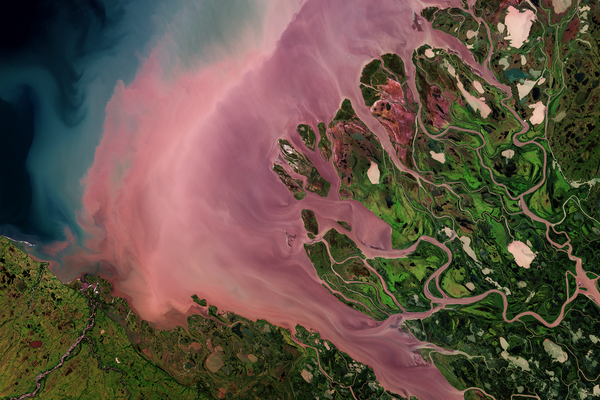 VALUABLES Consortium Capstone Celebration