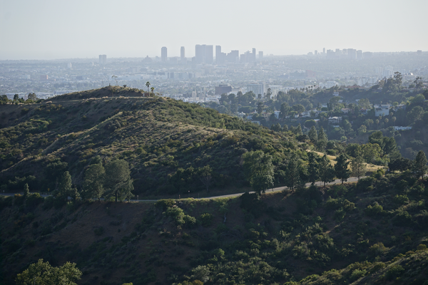 Shaping Land Use Patterns in the Wildland-Urban Interface: The Role of ...