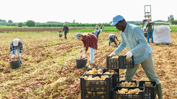 Black Farmers in America, with Seanicaa Edwards Herron