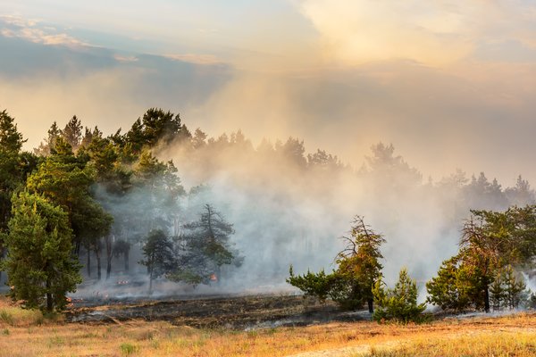 Washington Post: “Fires Are Burning Throughout US—Here’s Where There’s ...