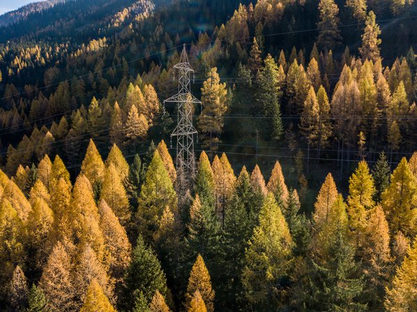 State-Level Planning for Decarbonization: Critical Elements of ...